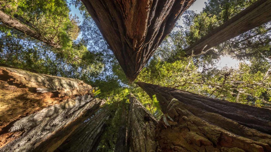 Improve your Landscape Photography - 5 Basic Tips - Lukas Petereit