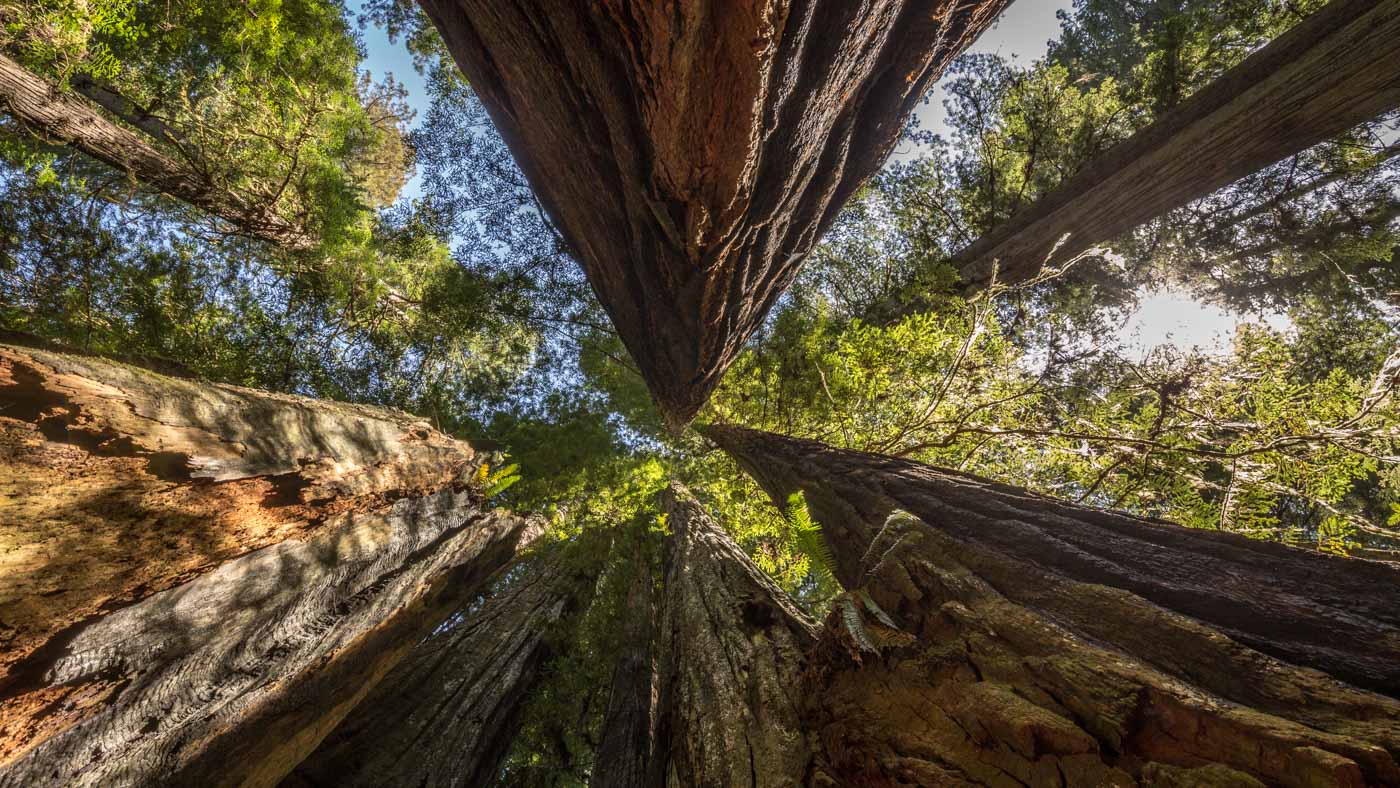 Improve your Landscape Photography - 5 Basic Tips - Lukas Petereit